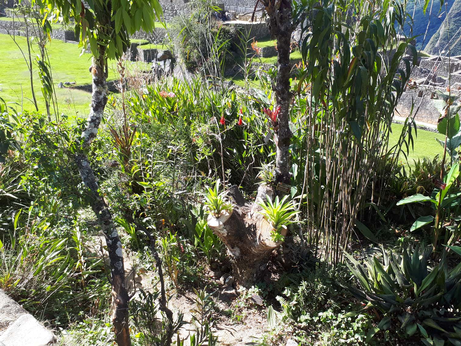 20190605_135203 | Rêve à Deux